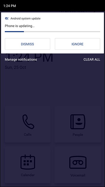 Updating Phone Firmware Manually
