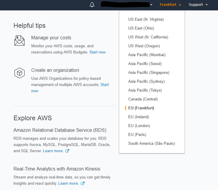 Launching Public Image on AWS
