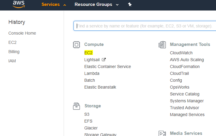 Launching Public Image on AWS
