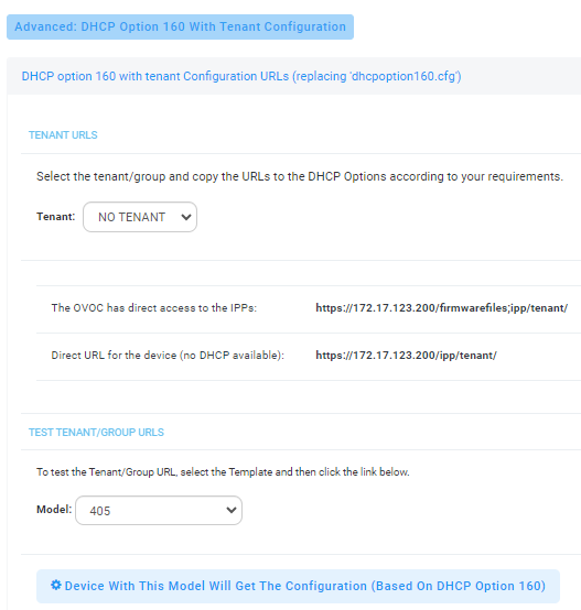 Configuring DHCP Option 160 with a Tenant URL